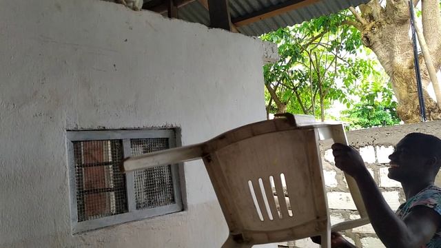 Джума помогал кошке слезть с крыши.