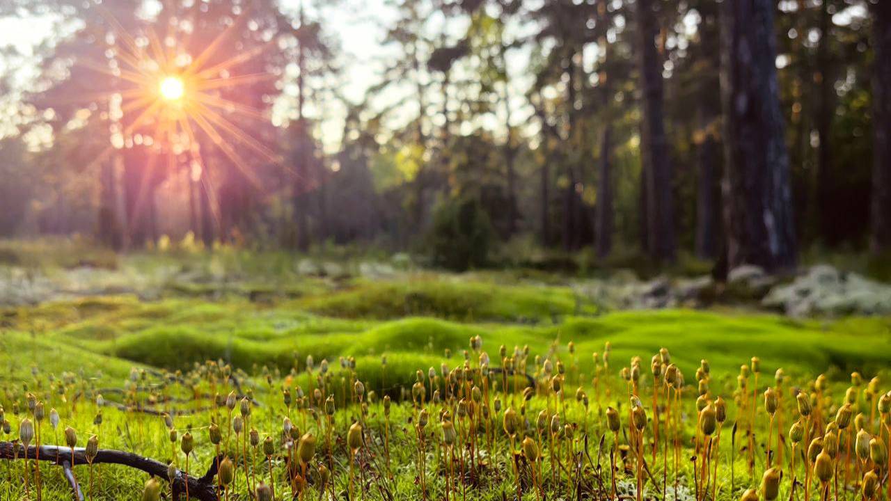 Мгновения вечности |  Вместе с Moon Child Bonnie Grace #Валаам #вечнаялюбовь #цитатыолюби