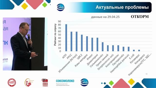 Пругло В. В. Актуальные инфекционные проблемы промышленного свиноводства.