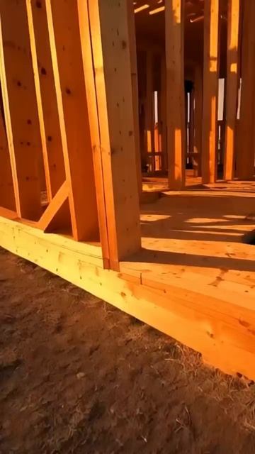 Ваш дом — ваша крепость. Biowood сохраняет её безопасной и красивой. #стройка #biowood #древесина