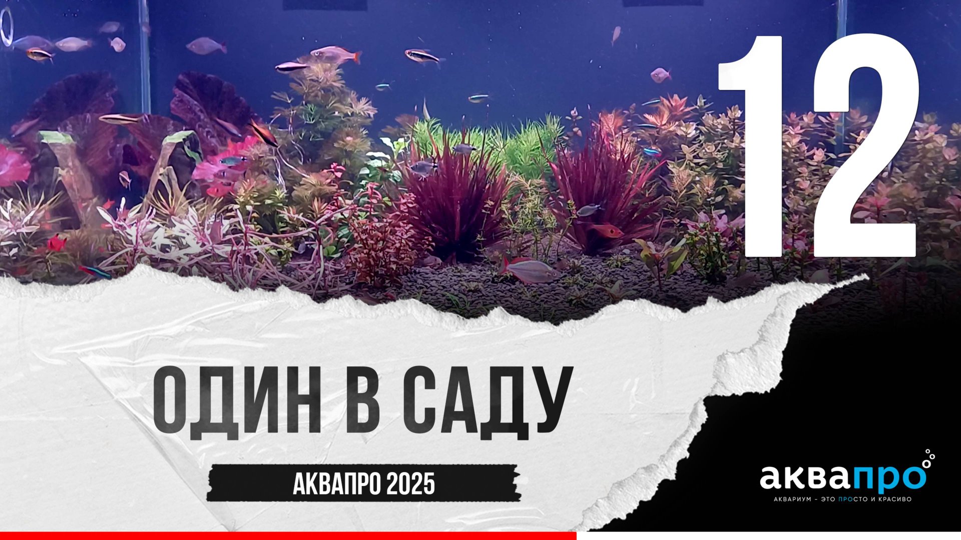 12. Один в саду. #АкваПро