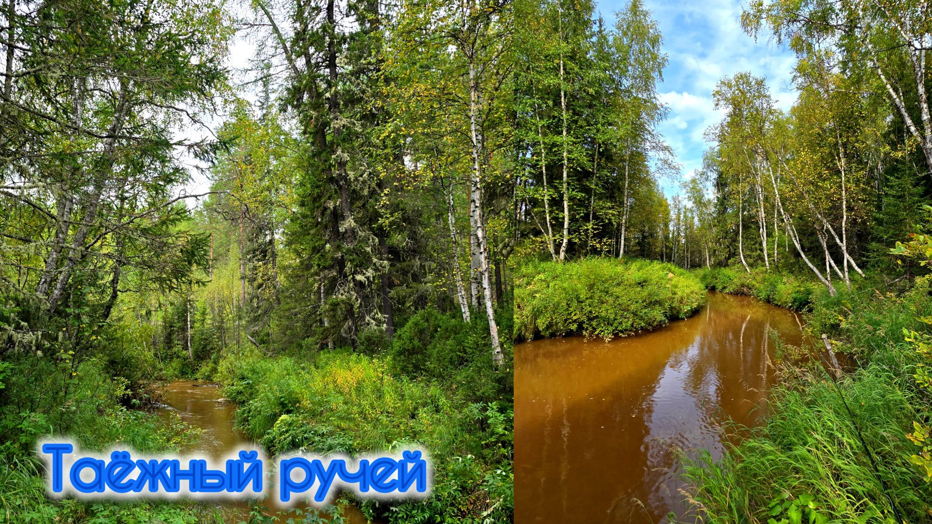 ч.1 ЗА ЧЕБАКОМ на ТАЁЖНЫЙ РУЧЕЙ СИБИРСКАЯ СКАЗКА