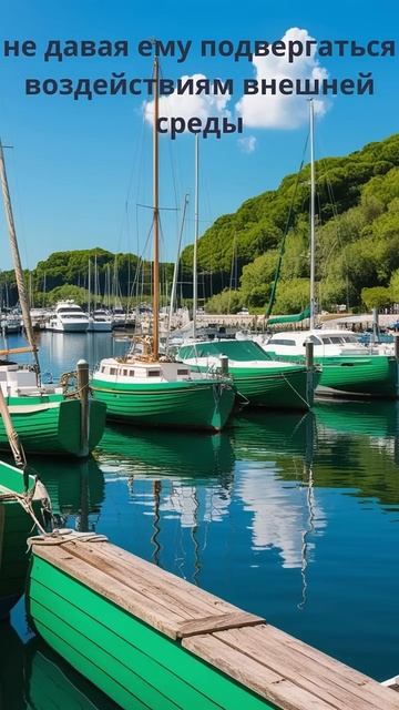 BIOWOOD_ забота, которая безопасна для природы. #древесина #стройка #biowood #дом #антисептик #дача