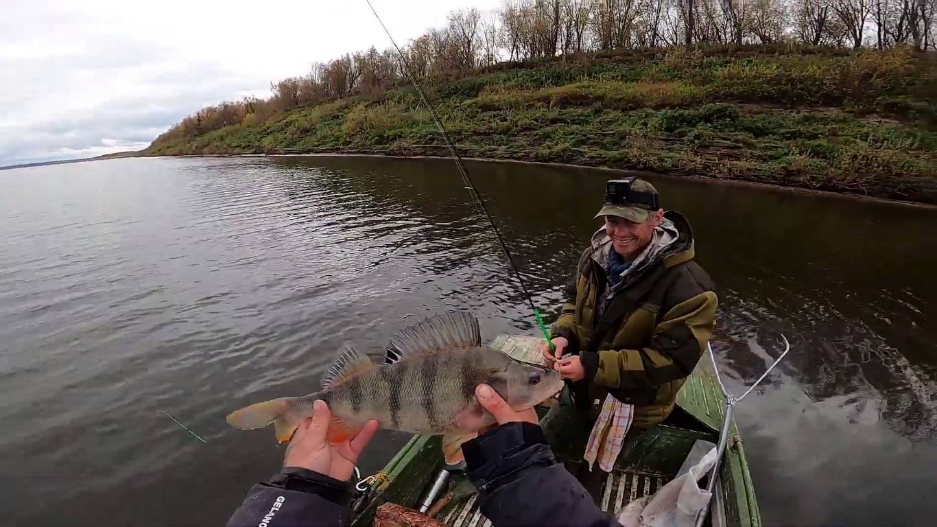 Попали На Супер Рыбалку. Налим, Окунь, Щука. Просто Эльдорадо!!!