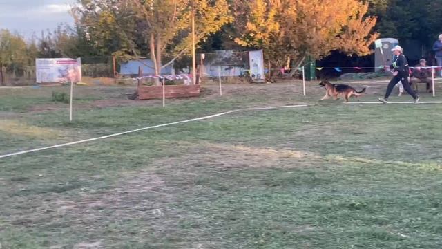 РАБОЧИЙ СУКИ / Кубок НКП РОСТОВ-НА-ДОНУ 28 сентября`25 Z.Najdovski, Е.Близнецова  Моно н/о