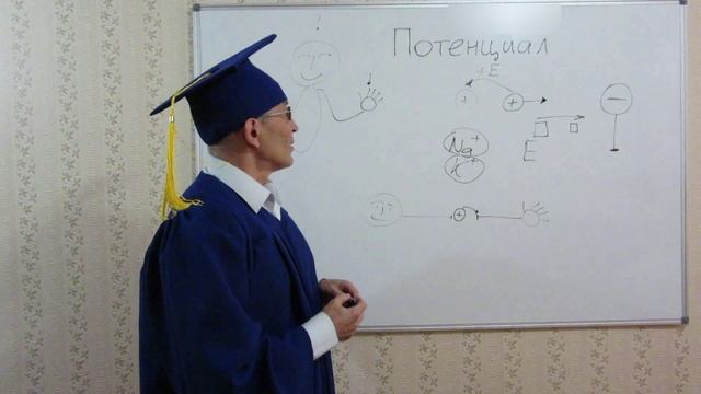 Электрический потенциал, движение электрических зарядов и передача нервных импульсов в организме