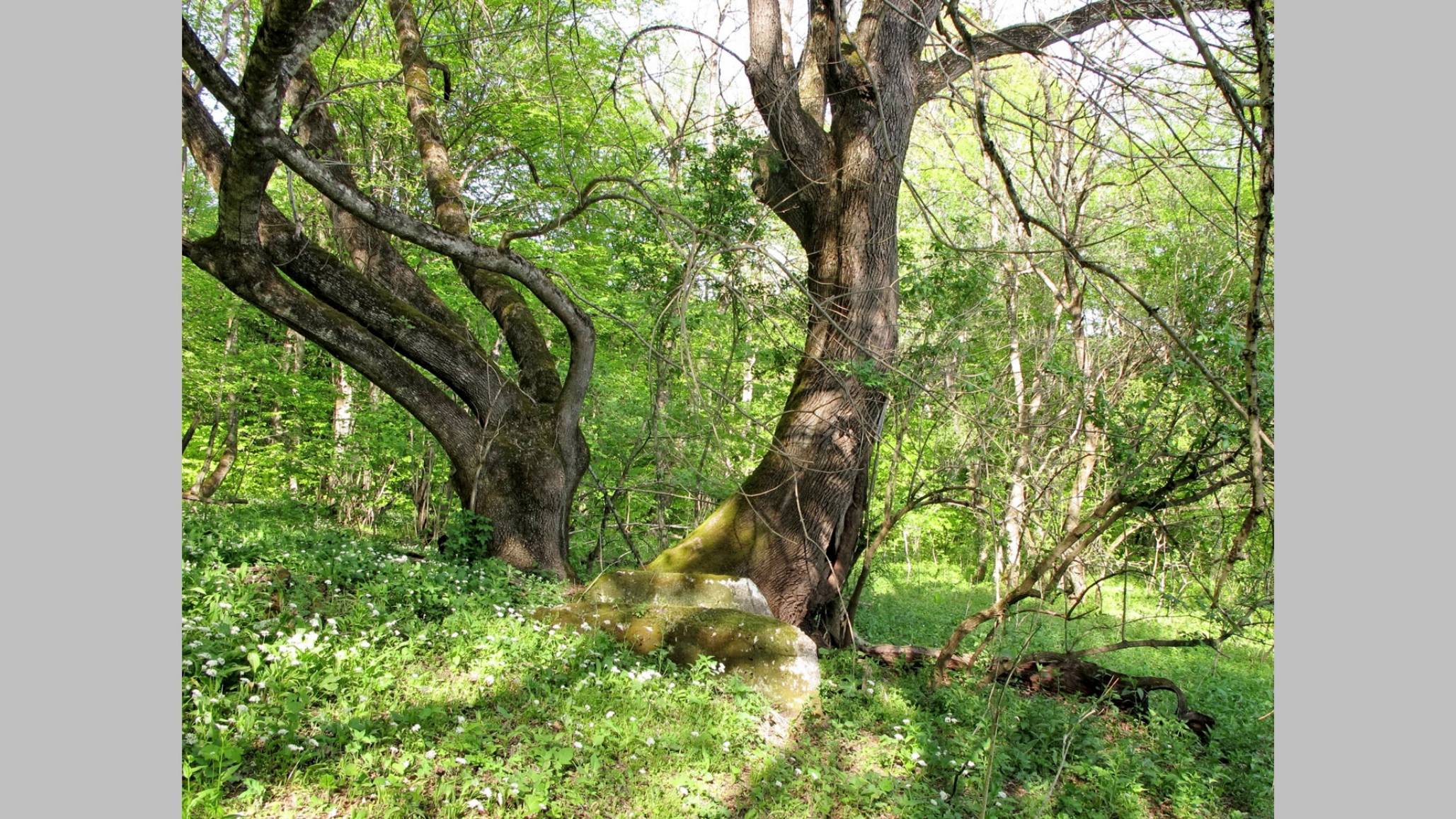 ЭЗОТЕРИЧЕСКОЕ ДОЛЬМЕНОВЕДЕНИЕ 09 - разное эзотерическое