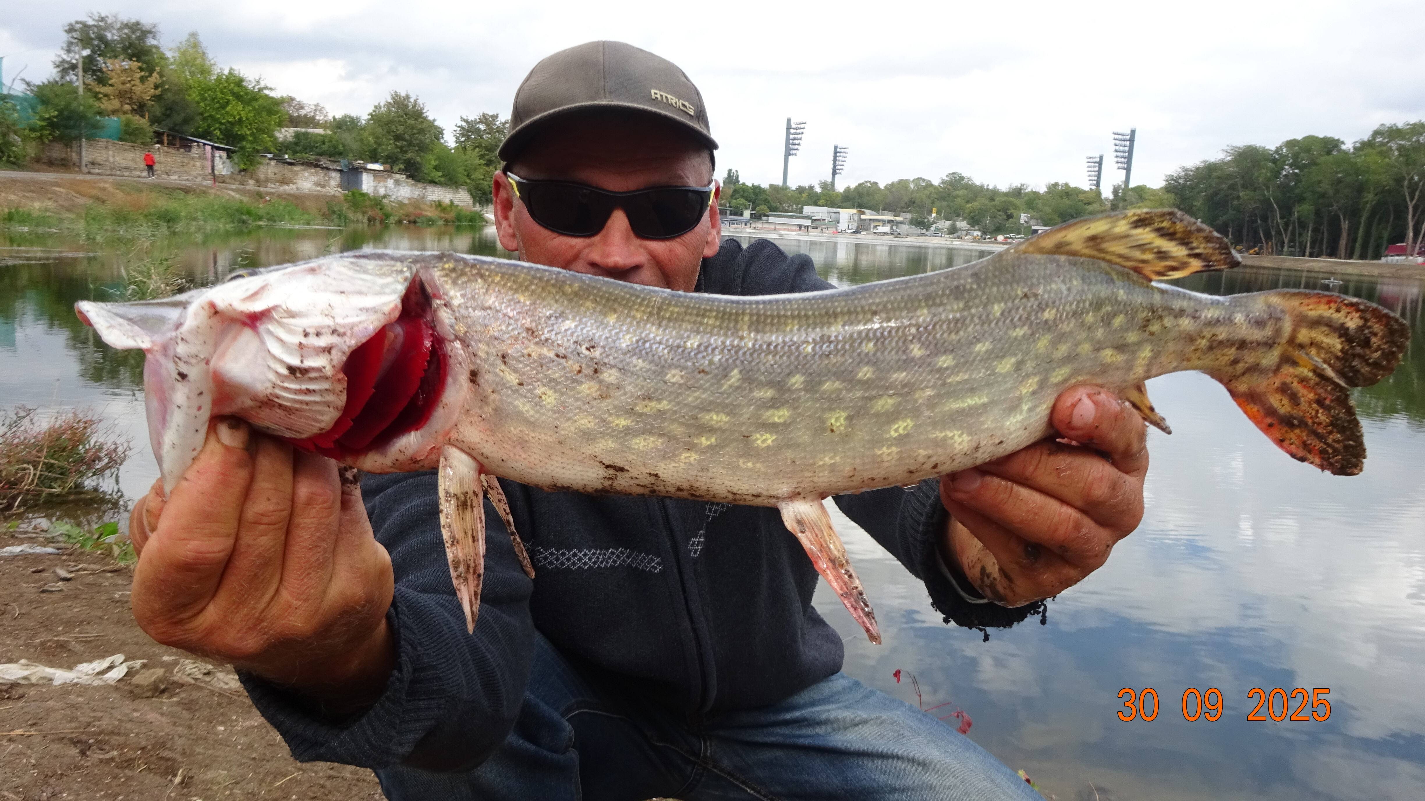 ЩУКА И СНОВА ПРУДЫ-РЫБАЛКА ОСЕНЬЮ..