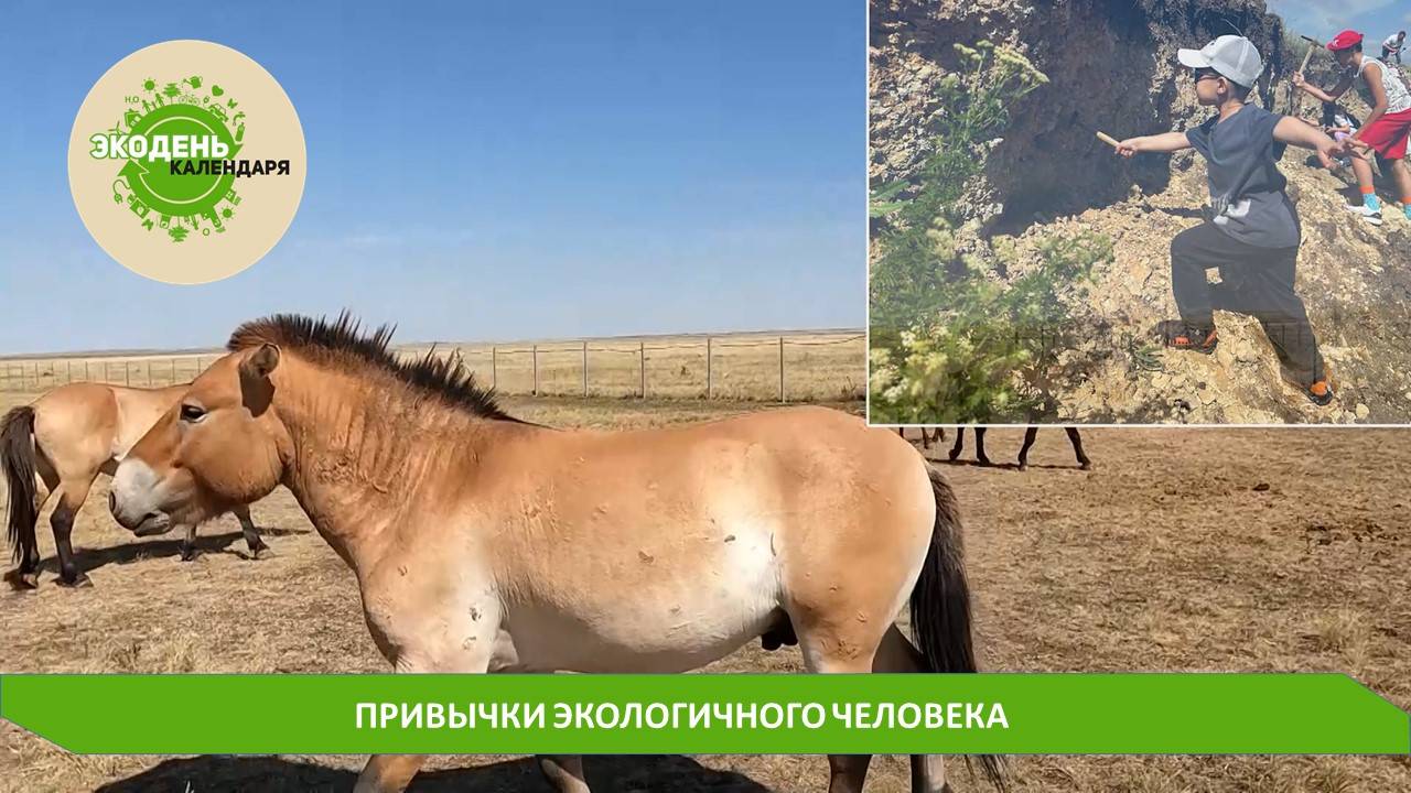 ЭКОДЕНЬ КАЛЕНДАРЯ. ВСЕМИРНЫЙ ДЕНЬ ТУРИЗМА