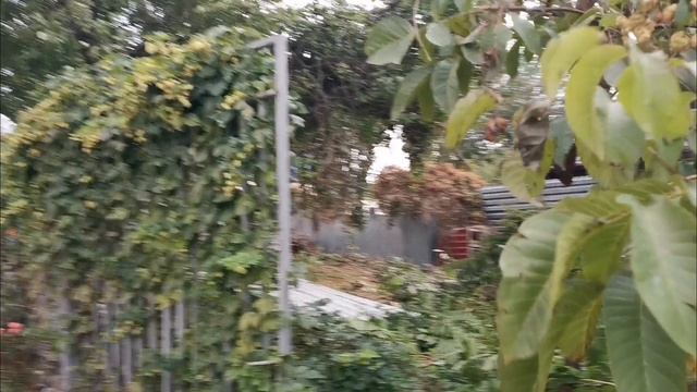 Земельный #участок  #ИЖС 7.3 сот. в центре Анапской