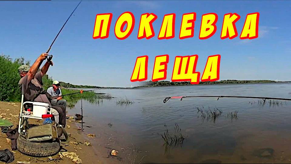 Как клюет лещ. Поклевка на пикере
