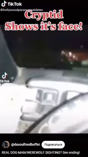 ОБОРОТЕНЬ У МАШИНЫ