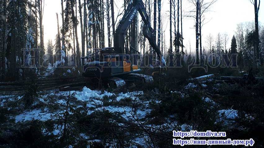 Заготовка бревна на делянках