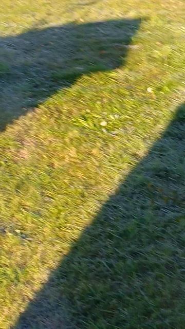 🤍Синий, синий иней🩵🧊я что- то последнее время природу снимаю😆🌅