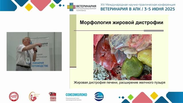 Громов И. Н. Дифференциальная диагностика болезней печени крупного рогатого скота.