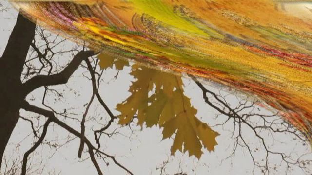 Аудио-стихи в исполнении автора Осень