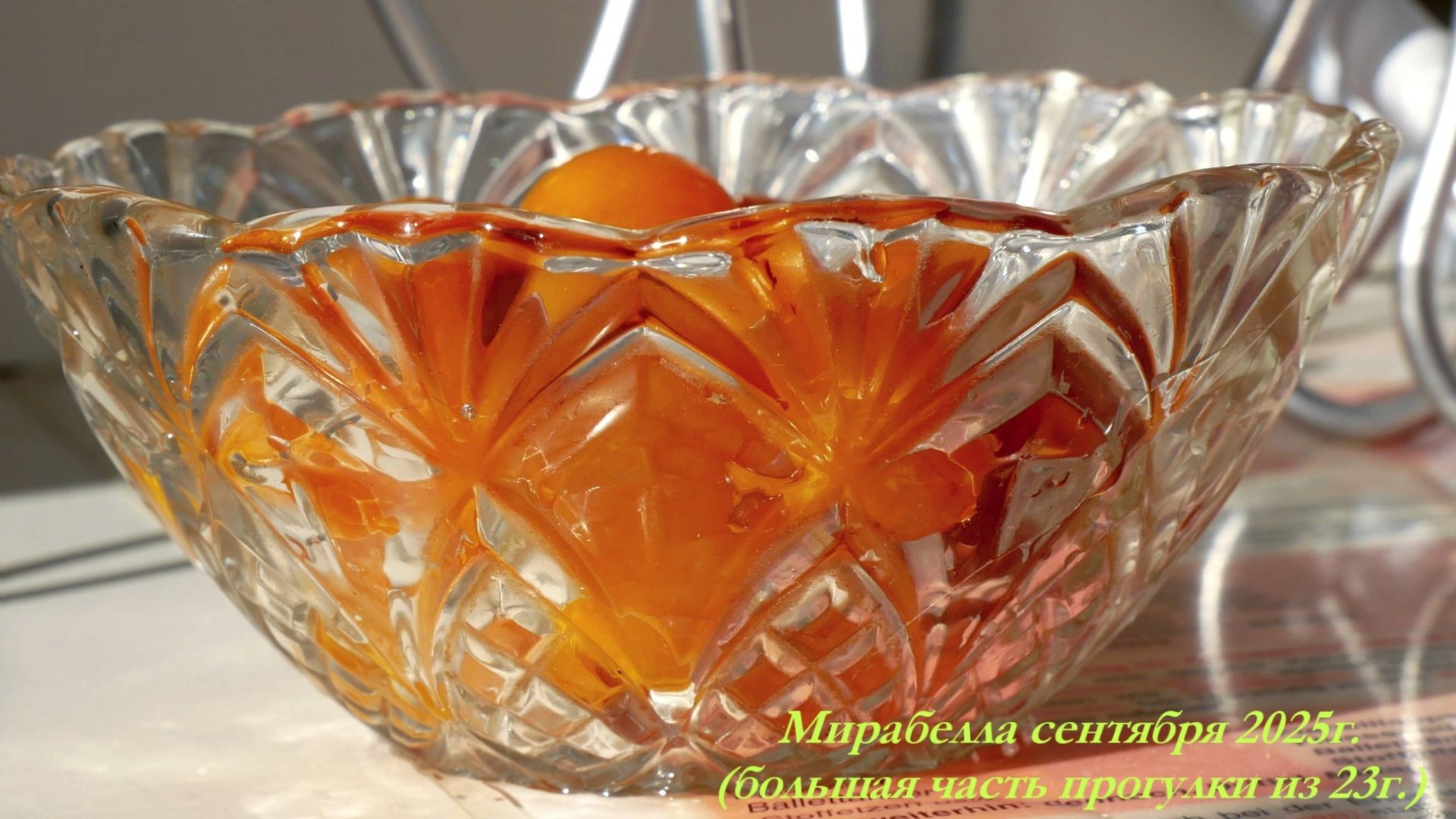 25 09 30 окрест  по ЭРФУРТУ + ягодки мирабеллы. Не  #луафАсра