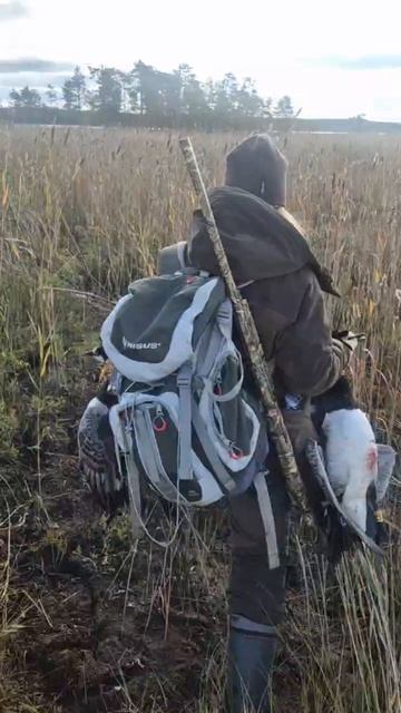 Мечта охотника )