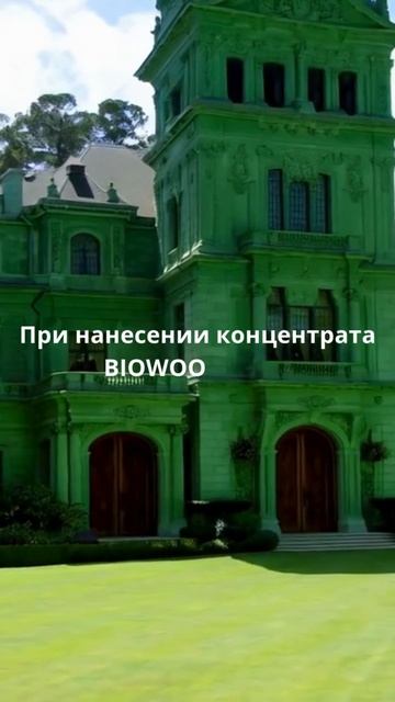 Огнебиозащита Biowood #стройка #дача #древесина #biowood #ремонт