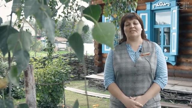 О берёзах на Алтае в окрестностях села Сростки