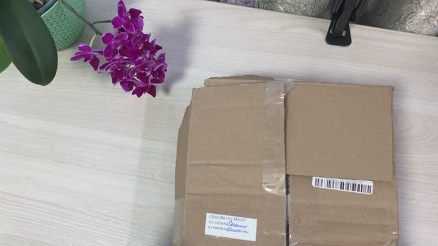 Распаковка посылки с тремя орхидеями