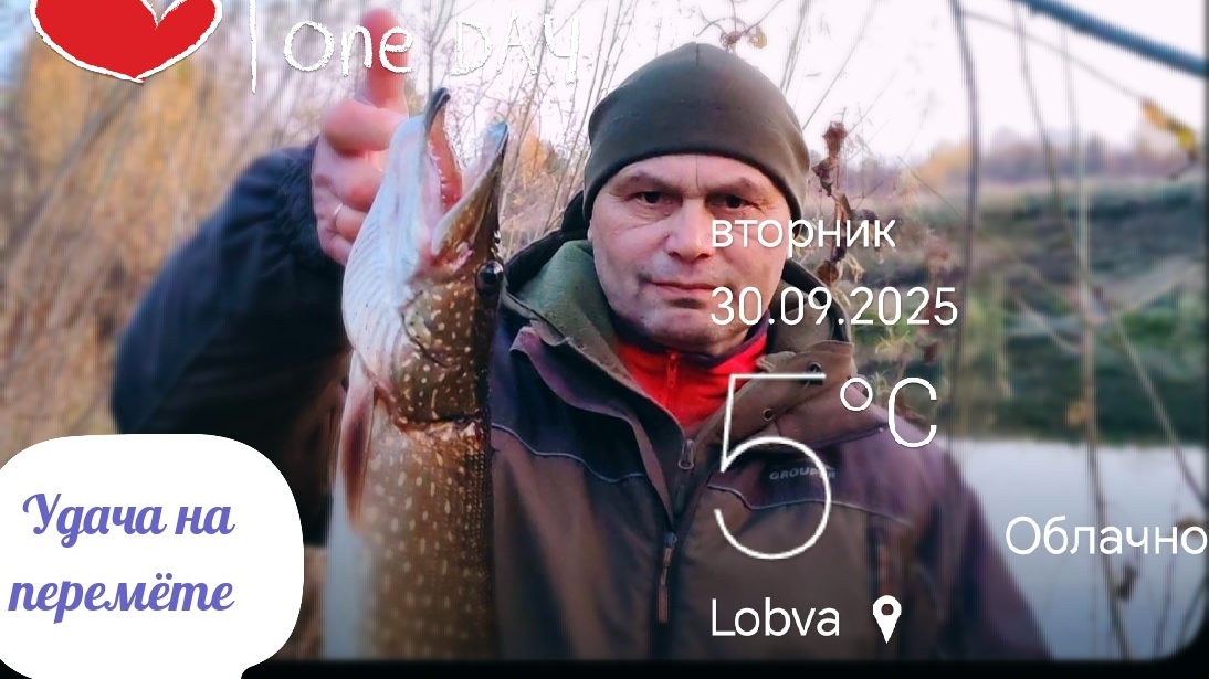 Рыбалка на Щуку. Сам Болда 🤦