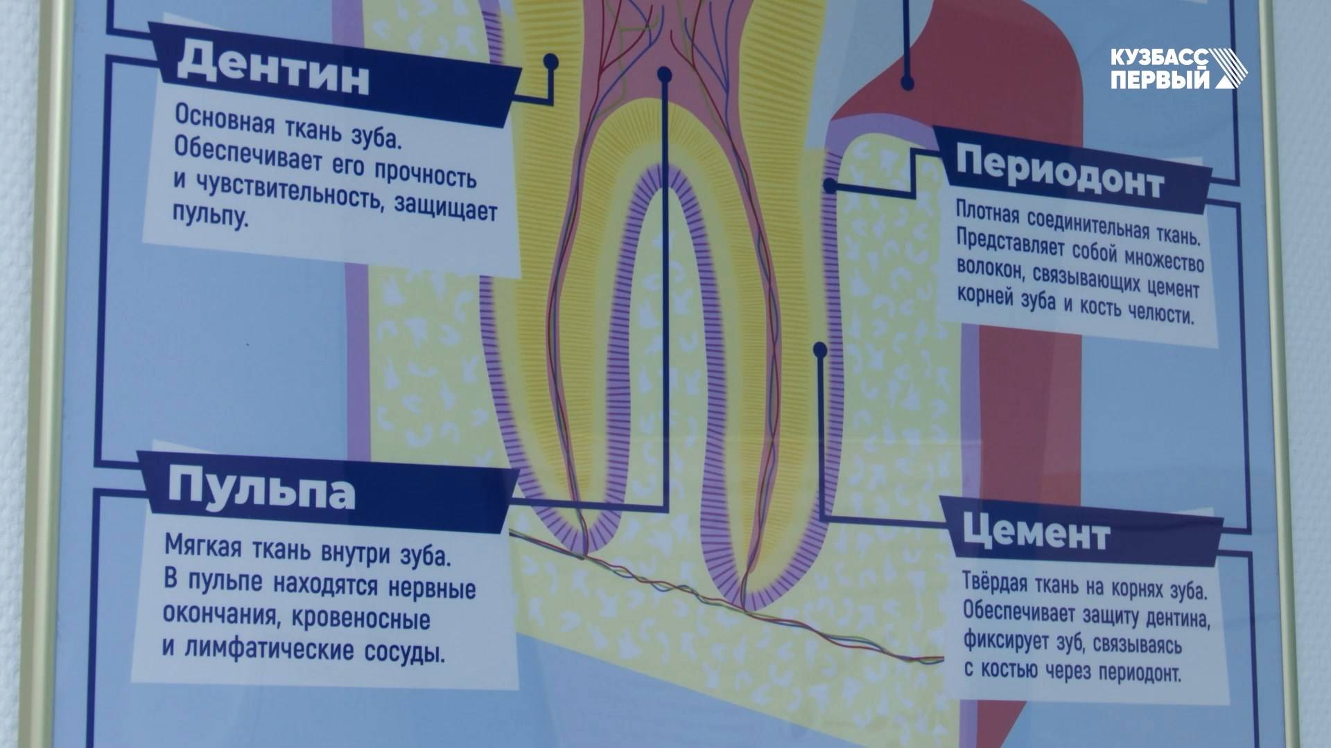 Здоровая улыбка России. Ставят ли имплант сразу после удаления зуба?