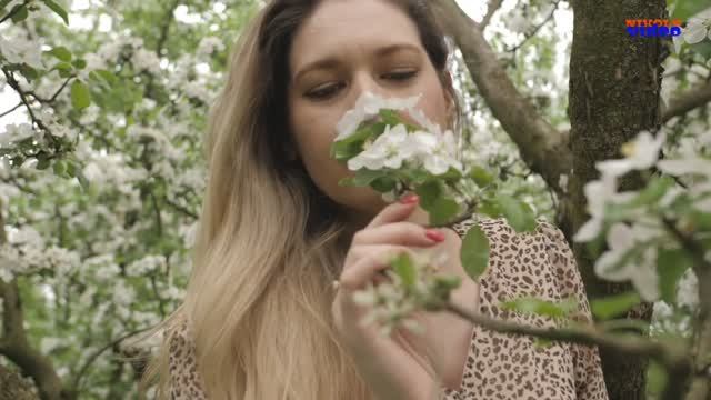 Валентина Кузнецова "В мамином саду" (музыка Александра Бончука, слова Ирины Скибиной)