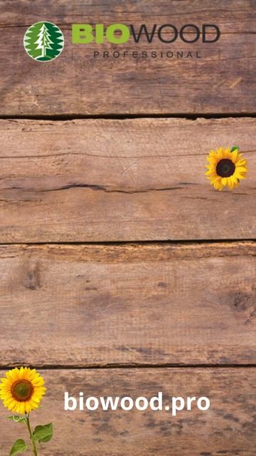 #древесина #дача #biowood #стройка #антисептик #дом