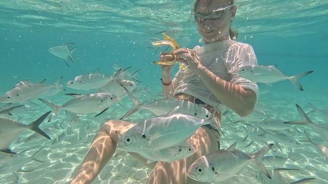 Кормление Рыбок в Мексике