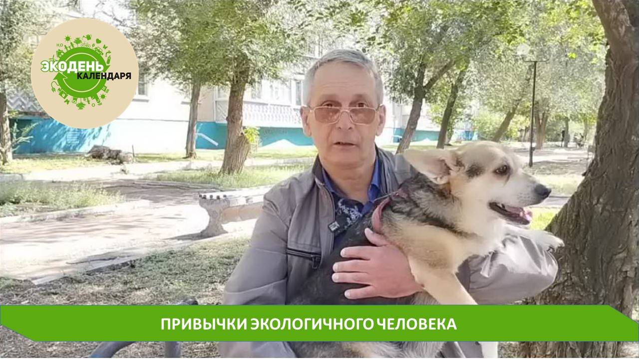 ЭКОДЕНЬ КАЛЕНДАРЯ. ДЕНЬ БЕЗДОМНЫХ ЖИВОТНЫХ