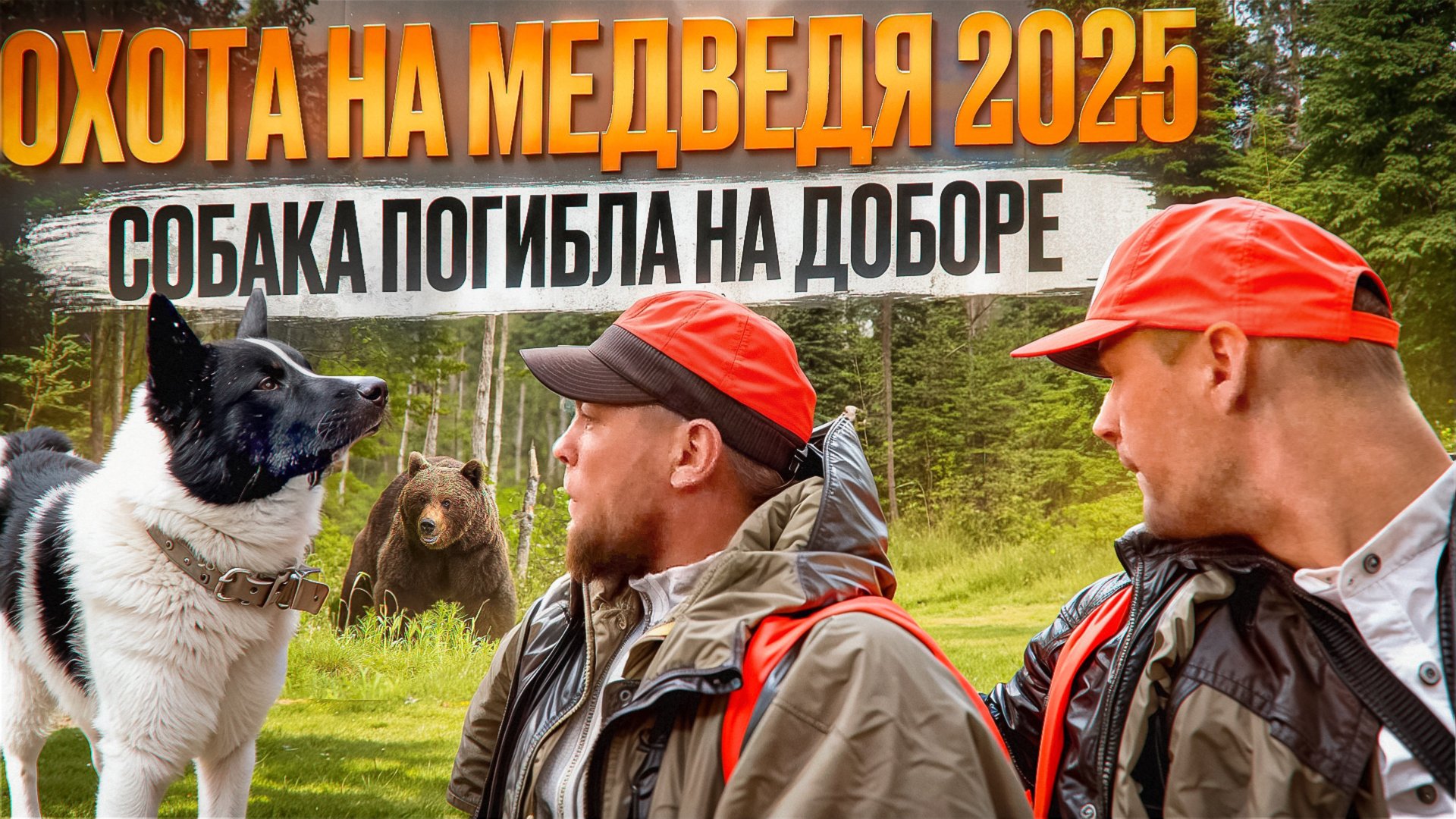 ОХОТА НА МЕДВЕДЯ 2025 // ДОБЫТ ТРОФЕЙ // СОБАКА ПОГИБЛА НА ДОБОРЕ