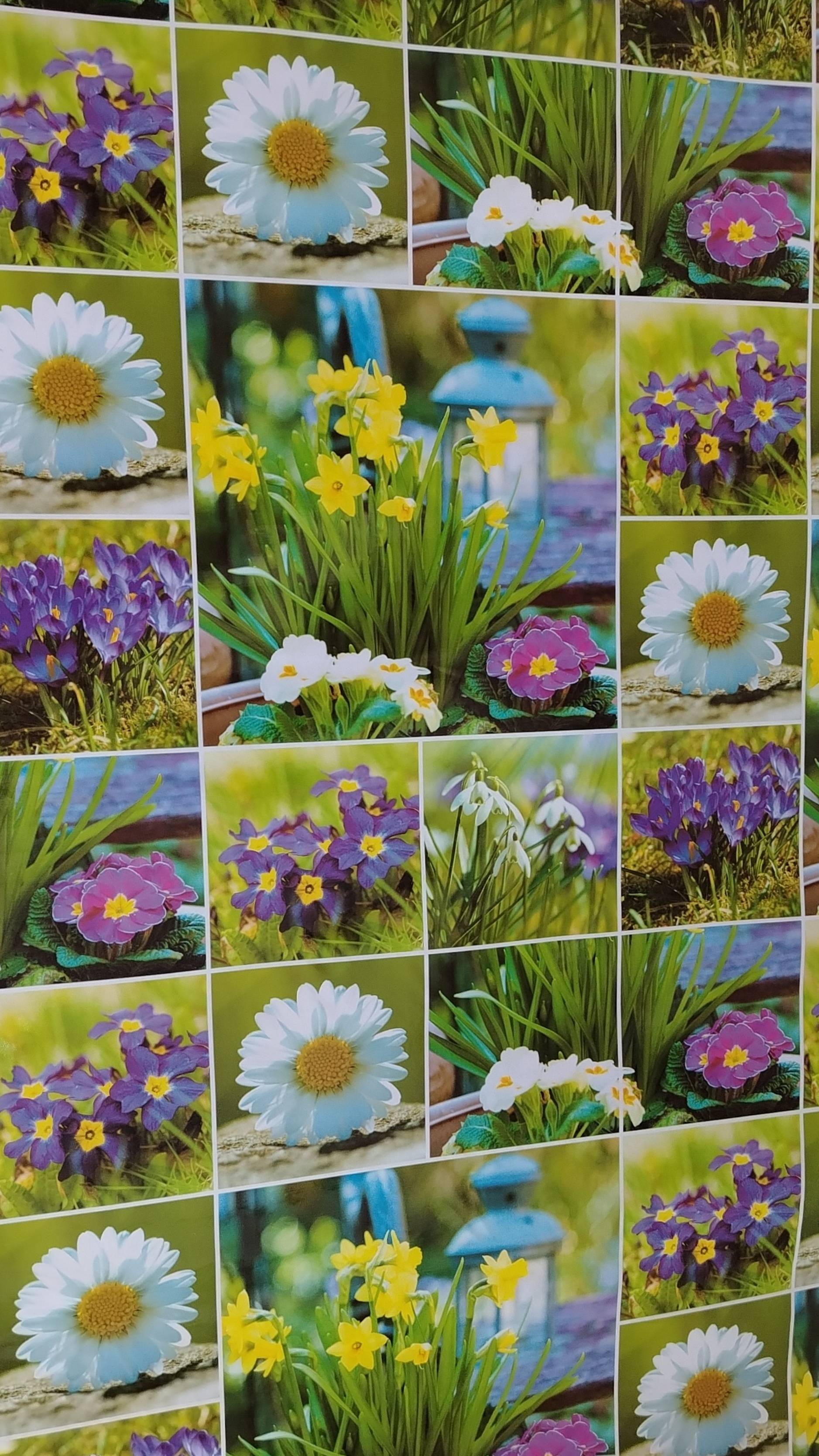 Клеенка GRACE ткань с пвх покрытием 1,4х20м STS2231