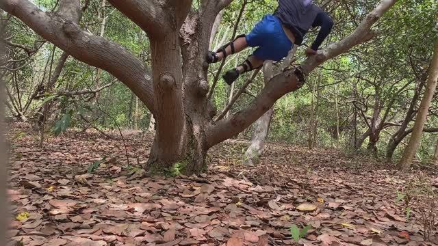 Куда ты едешь (WYG) s1e4 - мини-клон Дугатти