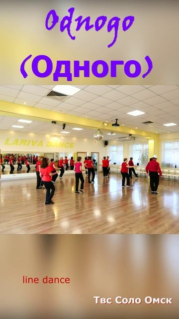 Odnogo Твс Соло Омск