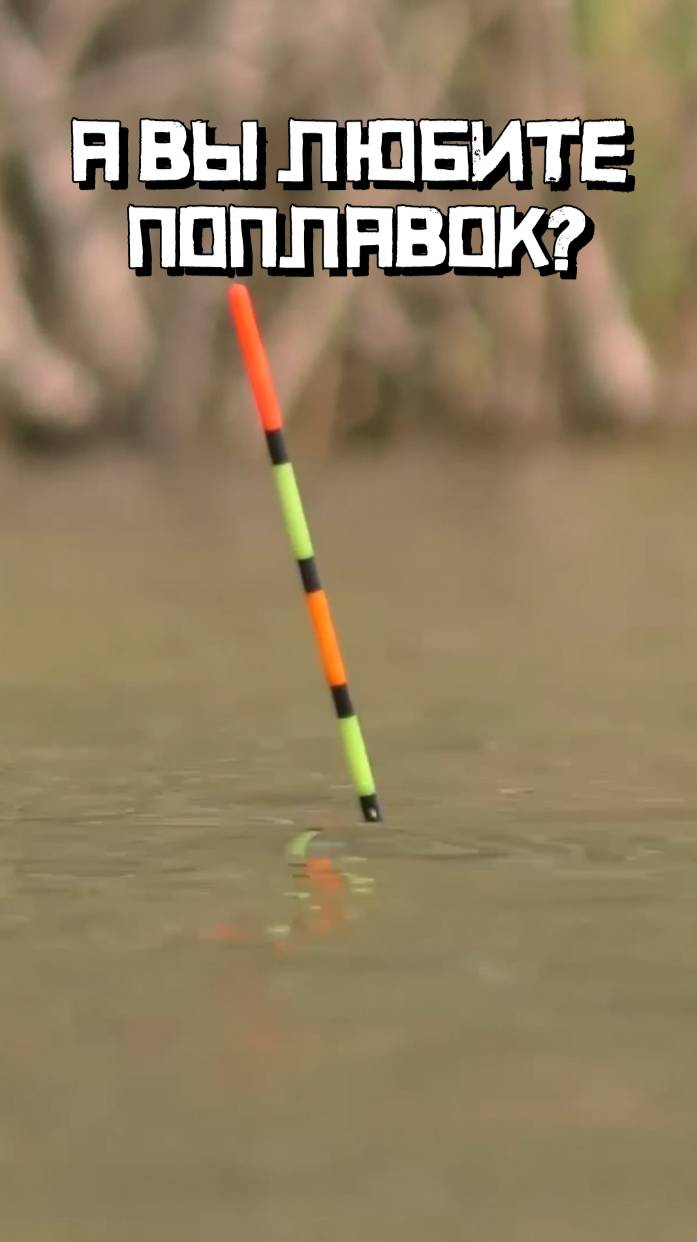 А вы любите рыбалку на поплавок???