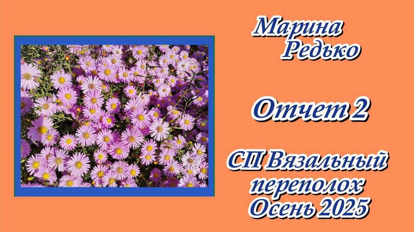 СП "Вязальный переполох Осень 2025" / Отчет 2