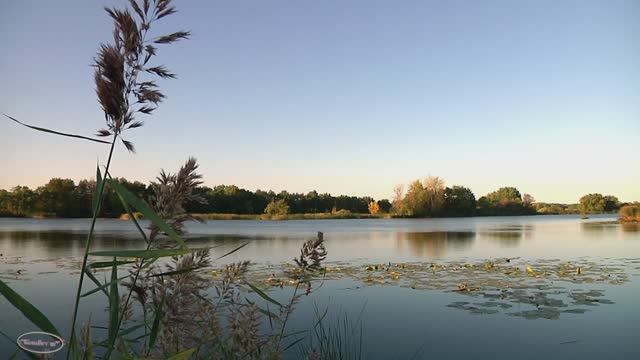 г Сызрань "без прикрас" п. Обшаровка ,(3) левая сторона Волги  , протоки , луга . Восход на реке .