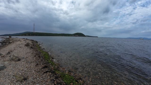 Токаревская кошка путь к маяку, Владивосток, август 2025.