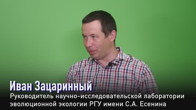 Наши учёные: Иван Зацаринный об экосистеме, птицах и исследованиях в условиях Крайнего Севера