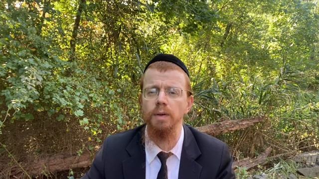 Йом Кипур и его законы. Рав Довид Хаим Ташкер (2023)