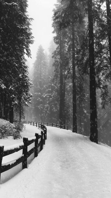 Релакс музыка 🎧 Лучший чилаут 🎵 🌴☀️ Звук #62