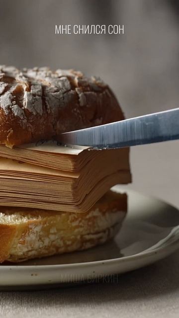 МНЕ СНИЛСЯ СОН | МИША БИРКИН