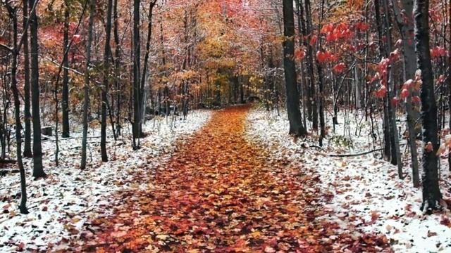 Белое платье_ музыка Олега Сапегина слова О.Сапегин,А.Халилов