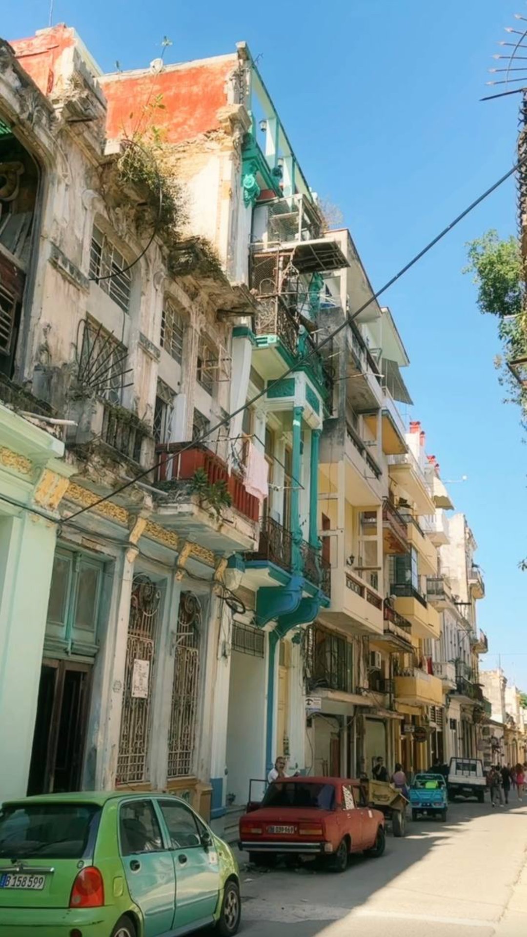 Хелп! 😂 Мой путь до джунглей выглядел так ⬆️