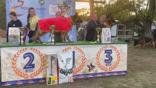 РАБОЧИЙ СУКИ / Кубок НКП РОСТОВ-НА-ДОНУ 28 сентября`25 Z.Najdovski, Е.Близнецова  Моно н/о