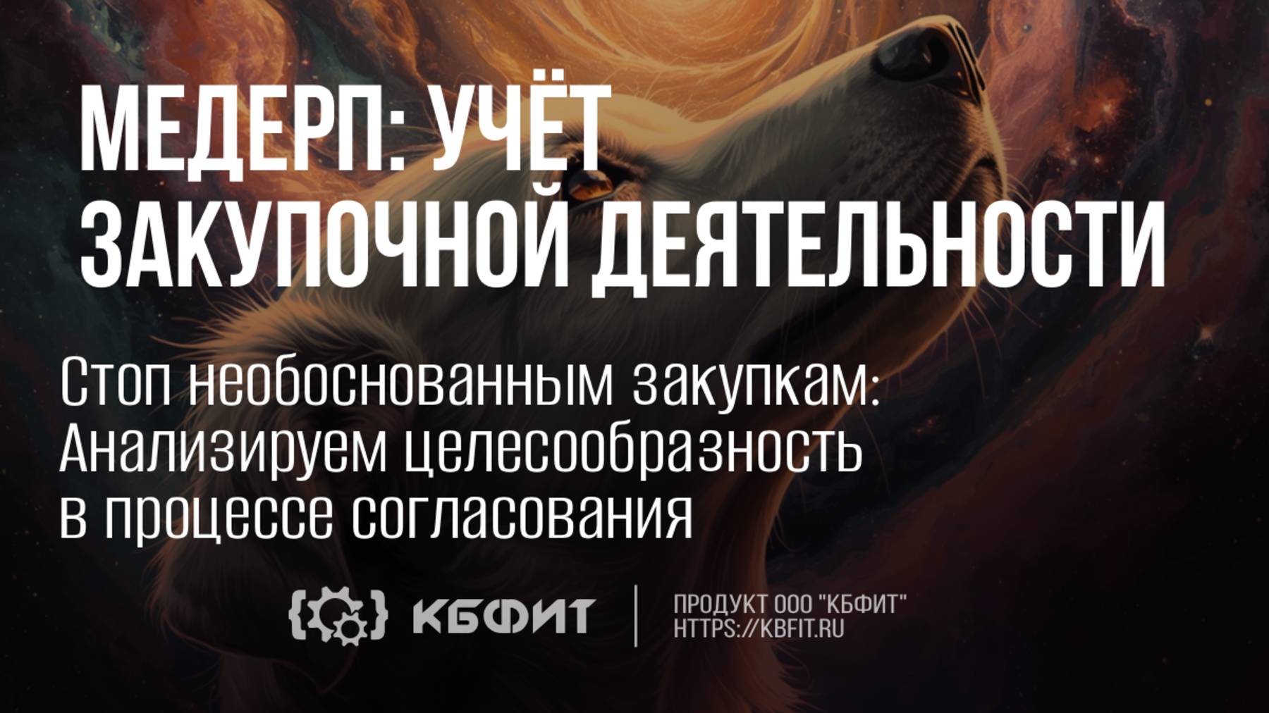 КБФИТ:МЕДЕРП. Стоп необоснованным закупкам Анализируем целесообразность в процессе согласования