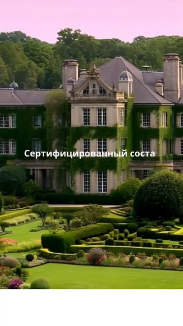 Огнебиозащита от Biowood.pro #стройка #древесина #дача #ремонт