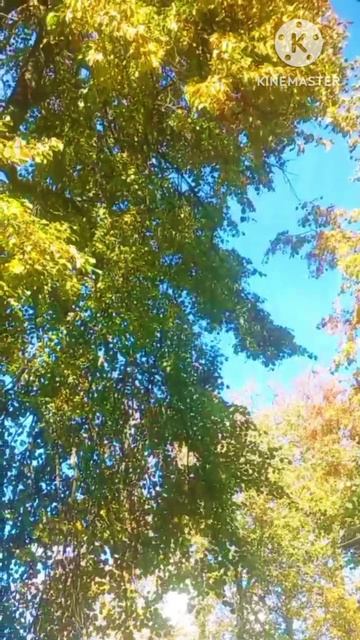 Любимое Дивеево. Осень 🍁