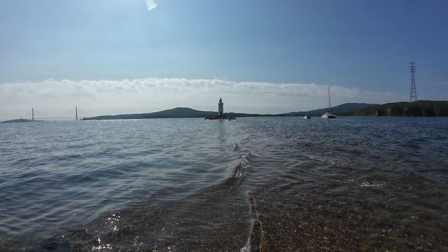 Токаревская кошка - МАЯК, Владивосток, август 2025.